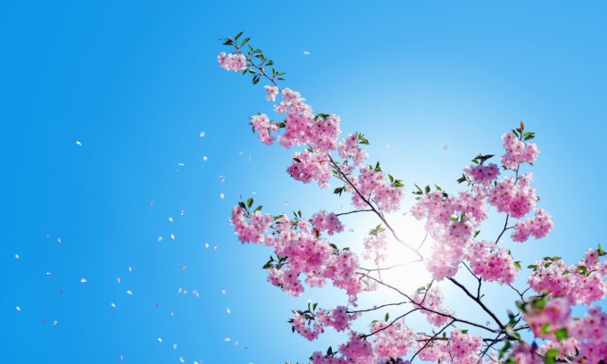 Prima Torino - Cronaca e notizie da Torino e provincia