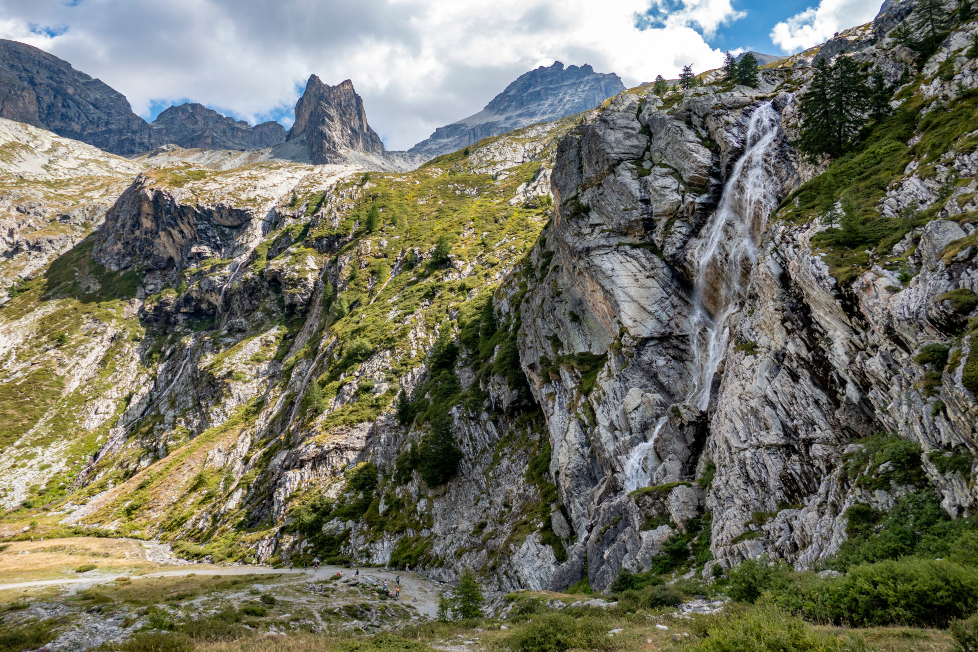 Scopri e ama la natura delle aree protette delle Alpi Cozie - Prima Torino