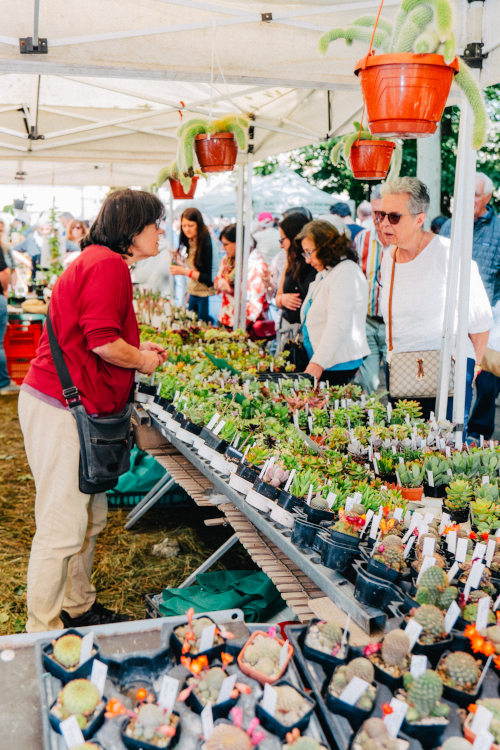 FLOR Primavera torna per il quarto anno consecutivo ai Musei Reali di ...